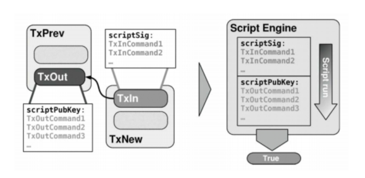 What is Bitcoin Script? Unveiling Its Role in Bitcoin What is Bitcoin Script? Unveiling Its Role in Bitcoin