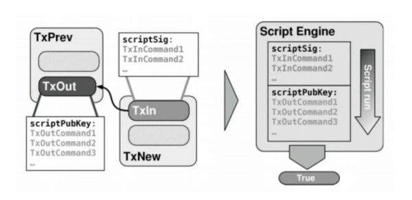 Discover Bitcoin Script: Its Role in Bitcoin Transactions